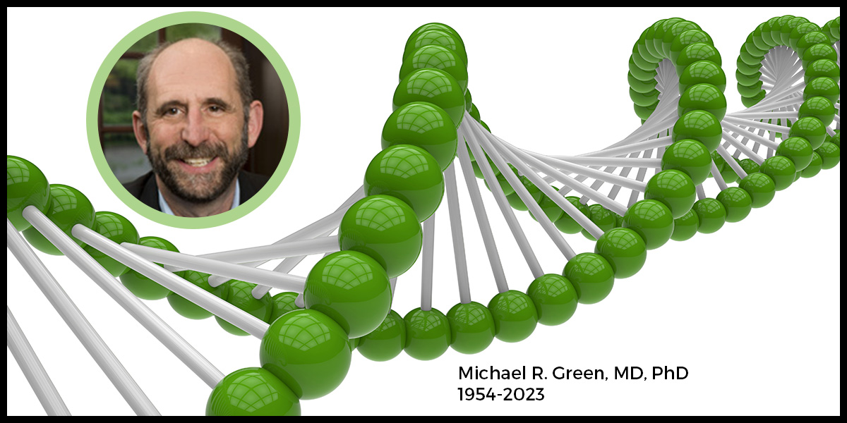 Michael R. Green Memorial Website