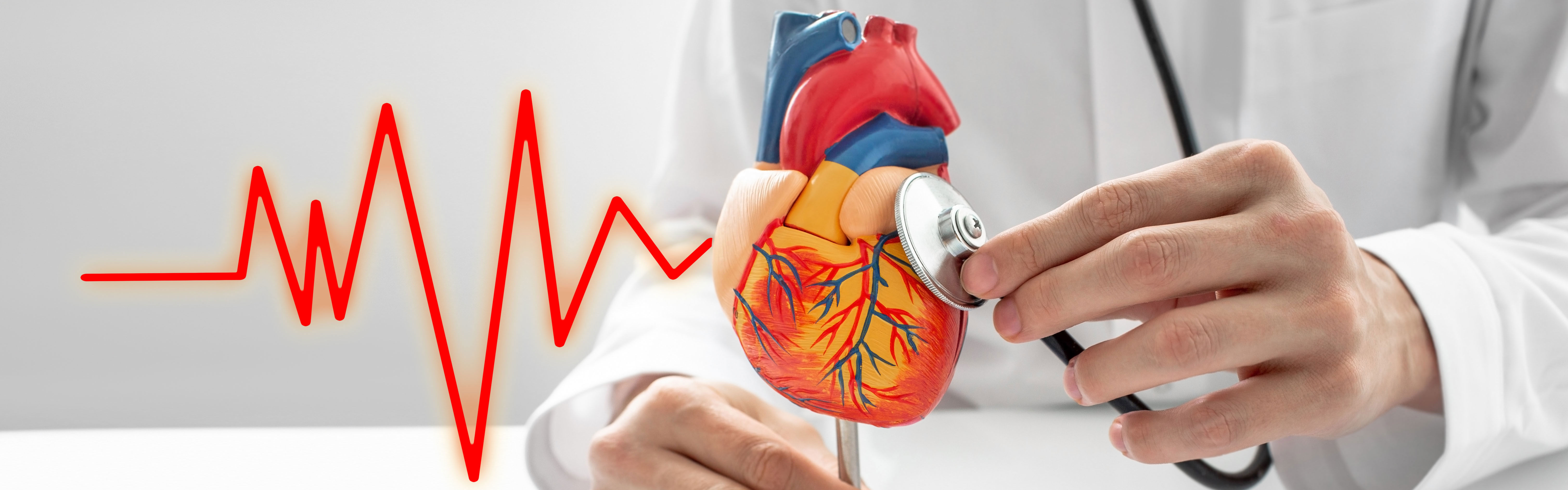 Cardiovascular Medicine
