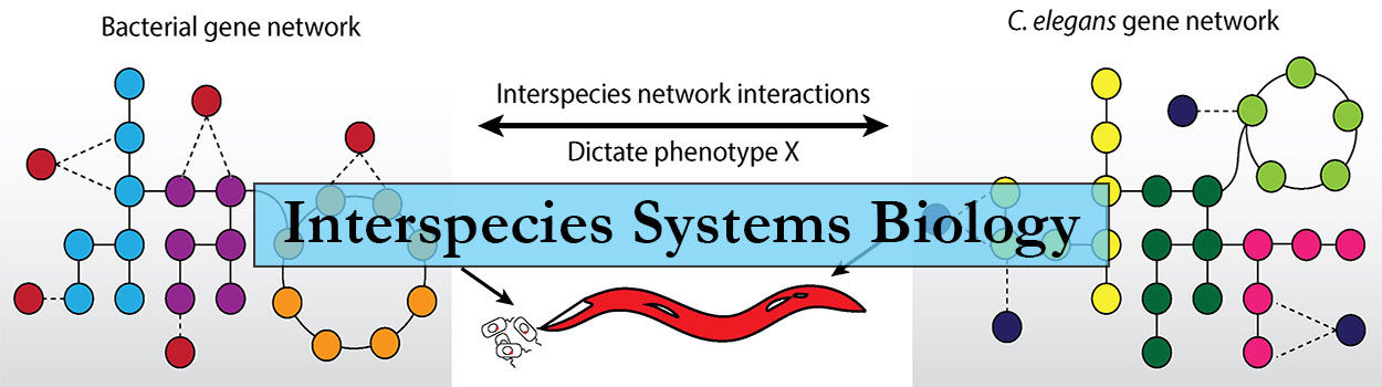 Department of Systems Biology