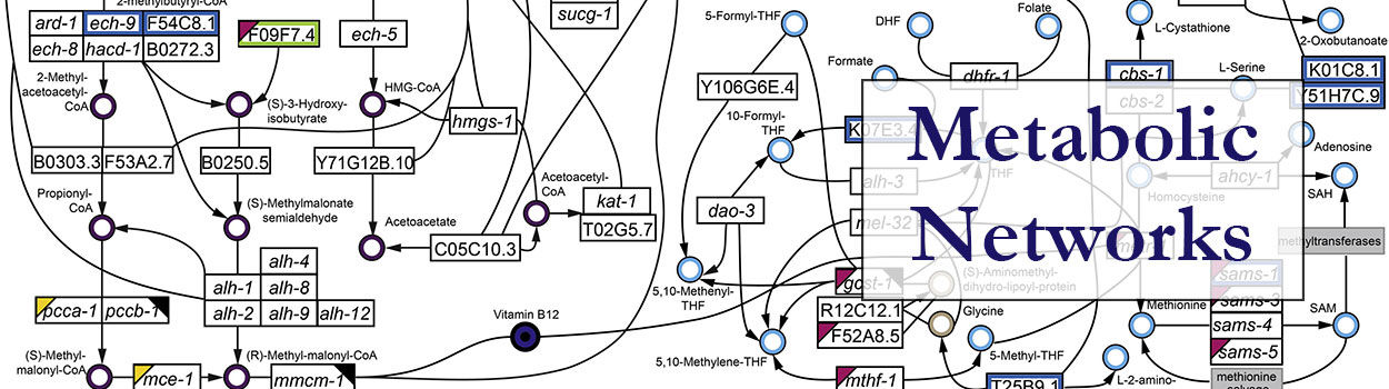 Department of Systems Biology