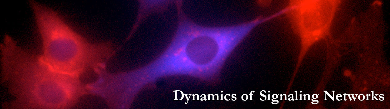 Department of Systems Biology