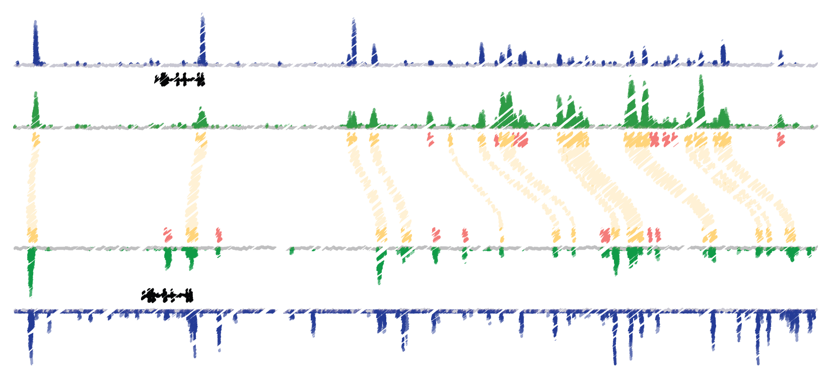 The Garber Lab : For Evolutionary Non-coding Genomics