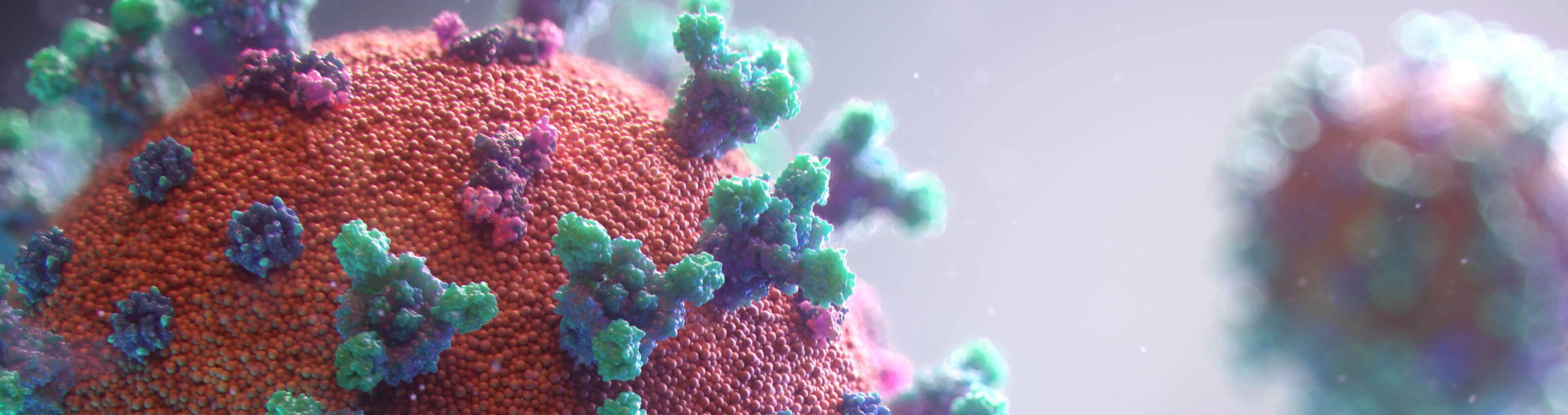 COVID-19 Research Fund at UMass Chan Medical School