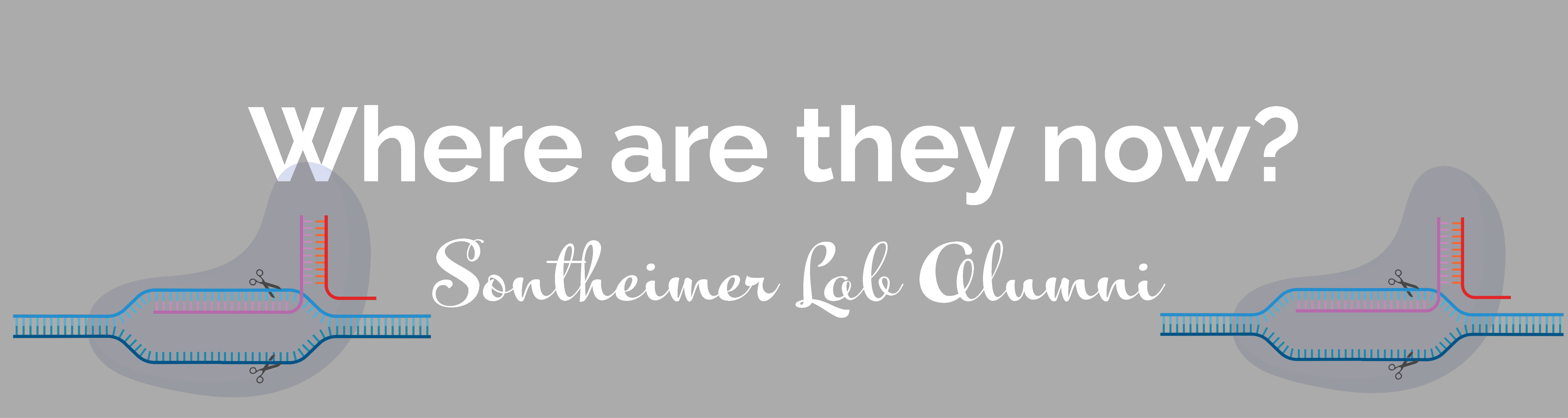 Sontheimer Lab Alumni