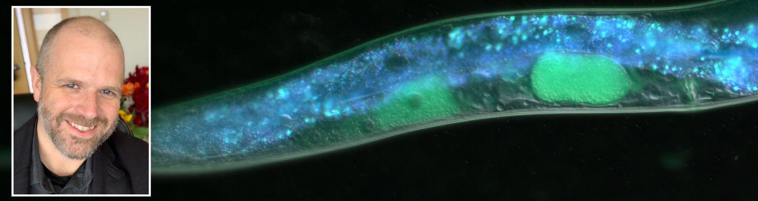 Ryder Lab