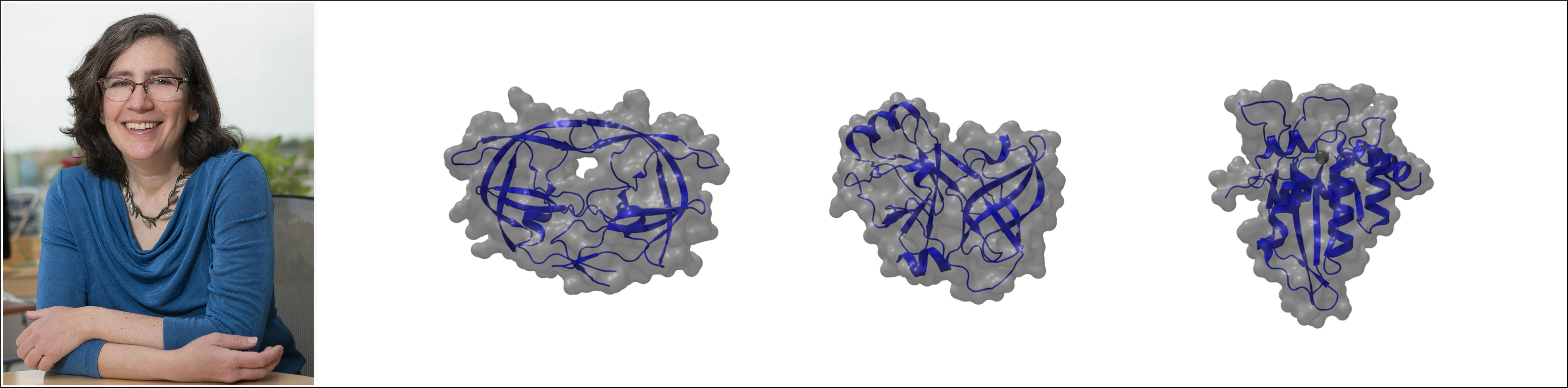 Schiffer Lab Home Page - Biochemistry & Molecular Biotechnology (BMB)