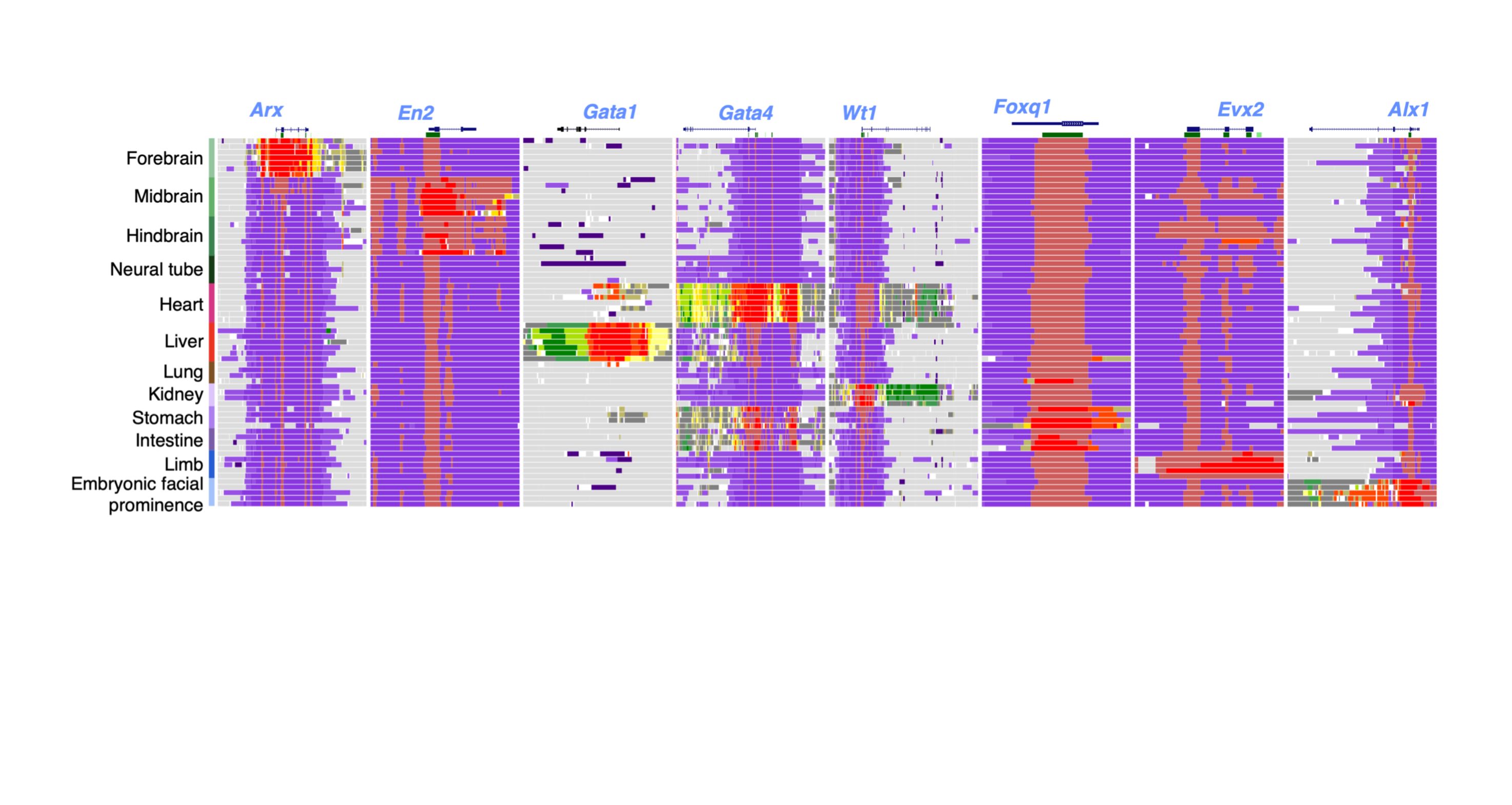 Zhiping Weng Lab - Biochemistry & Molecular Biotechnology UMassMed