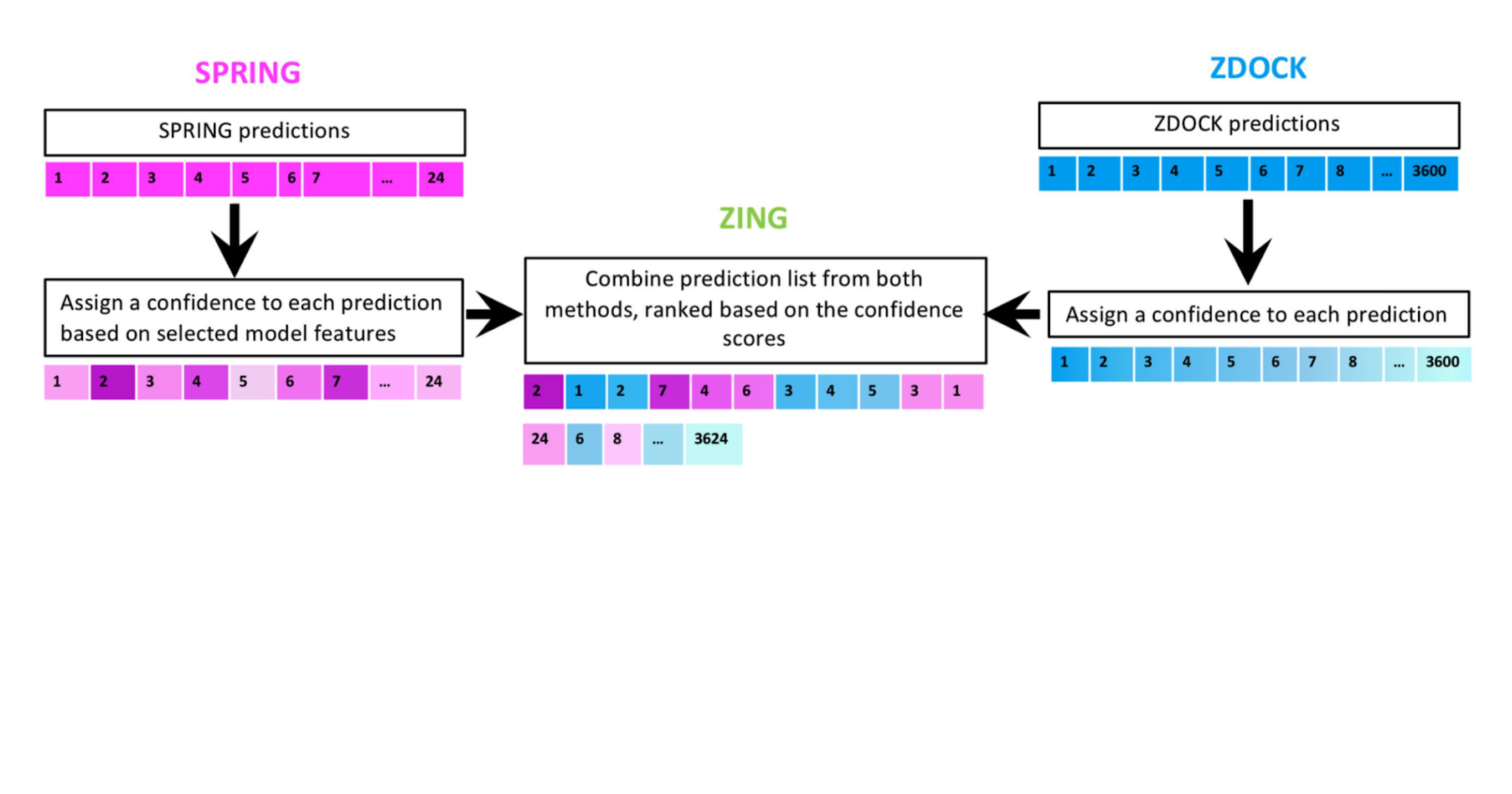 Zhiping Weng Lab - Biochemistry & Molecular Biotechnology UMassMed